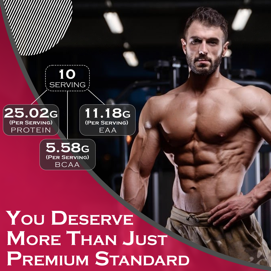 Buy Mr. Fit Mass Gainer - Best Muscle Mass Protein Powder Supplement ...