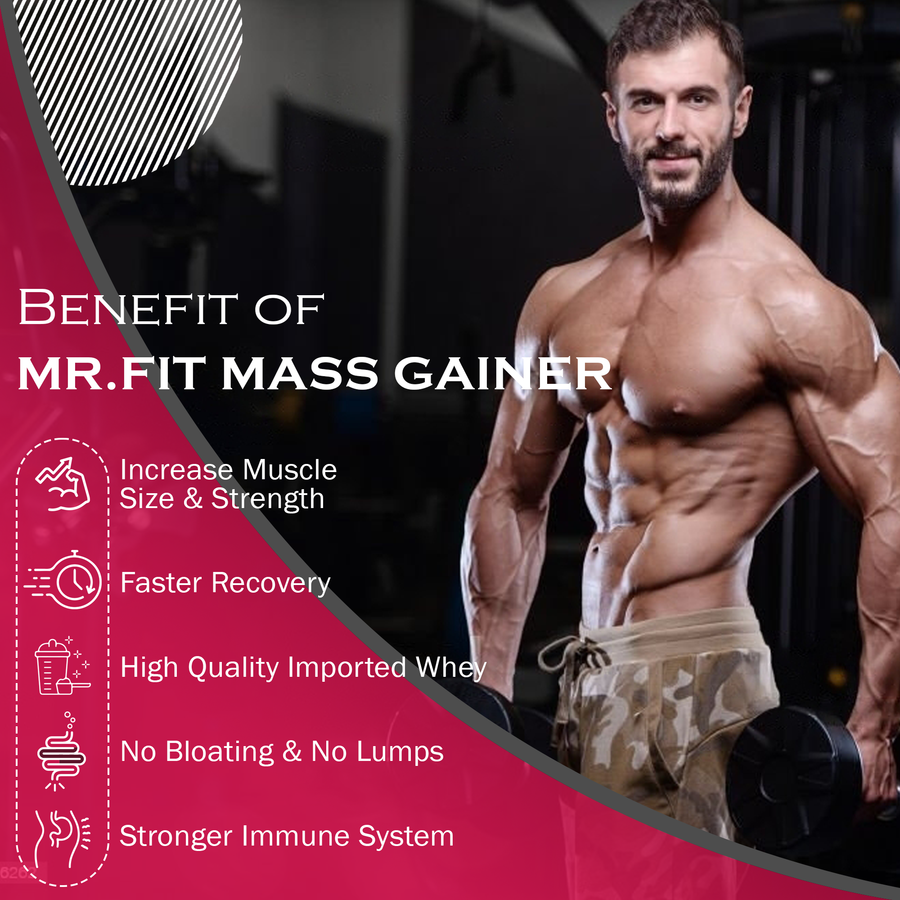 Buy Mr. Fit Mass Gainer - Best Muscle Mass Protein Powder Supplement ...